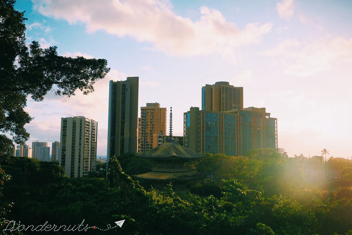 Can't Stop the Pretty in Oahu - The Wondernuts